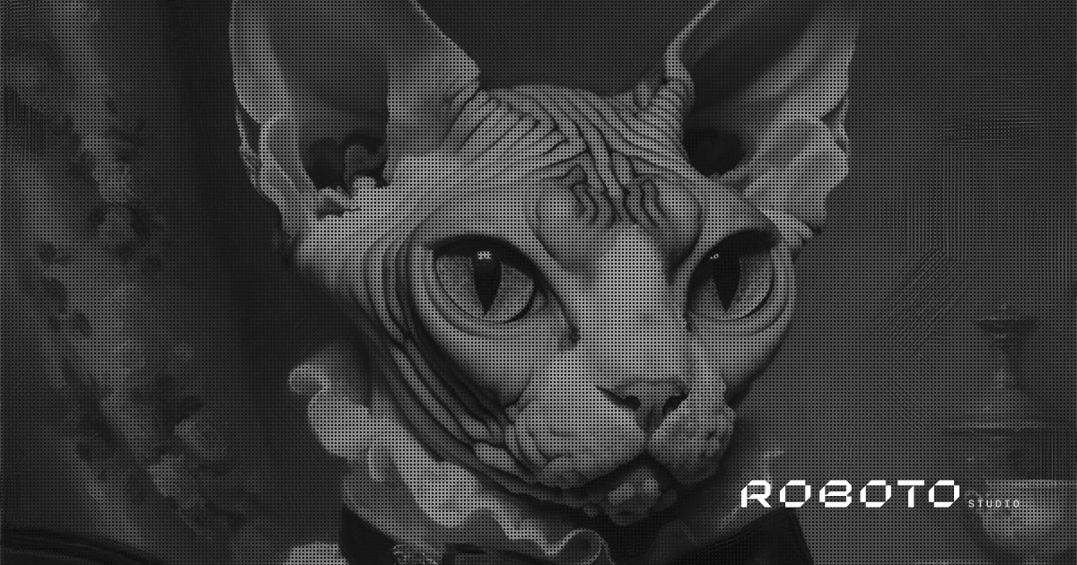 Working with Turbo Start Sanity | Roboto Studio